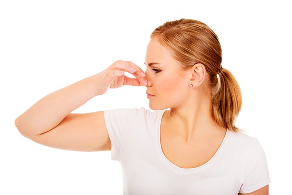 Unpleasant smells can actually enhance pleasure | Paul Levy